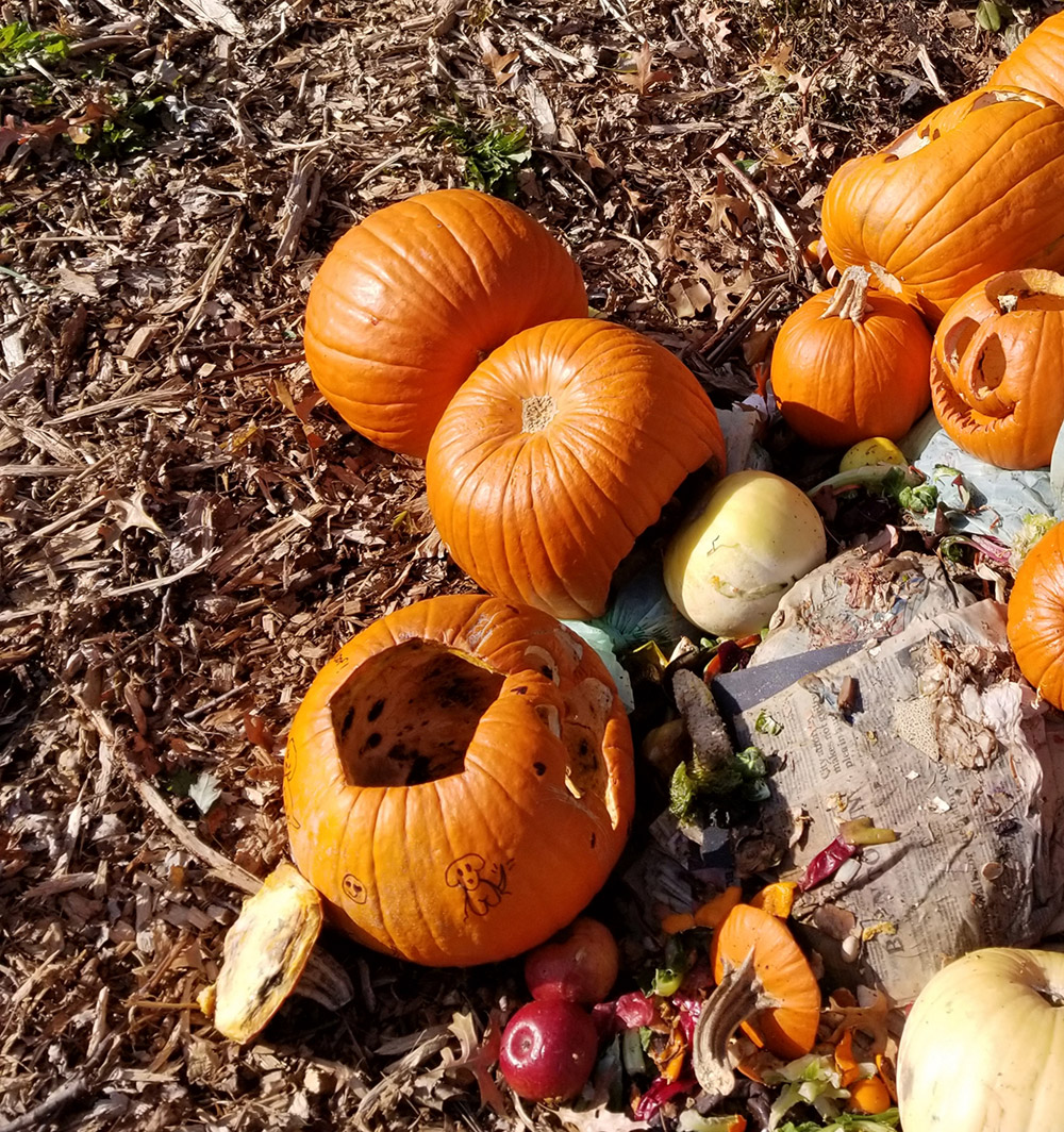 Info and Register | Fairgate Farm