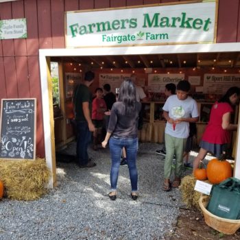 Food Access | Fairgate Farm